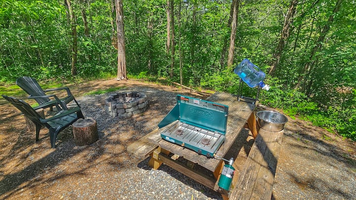 Hidden Forest A-frame | Kayak, Hike, River, Relax! - White Pine, TN
