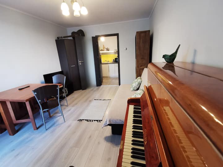 Comfortable Flat In City Center - Toruń
