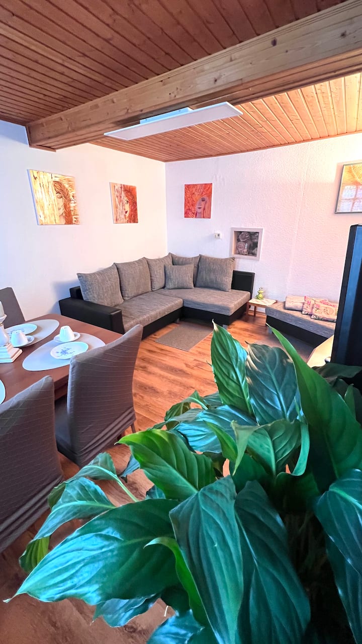 Haus „Lana“ Mit Sauna Und Garten Im Stadtzentrum - Eisenach