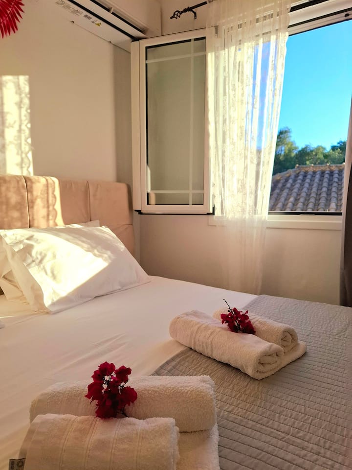 Alegria Studio1 - Paxi