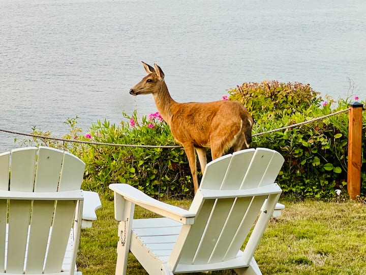 Wow Waterfront | Ferry To Fifa Seattle | Sleeps 6 - Whidbey Island, WA
