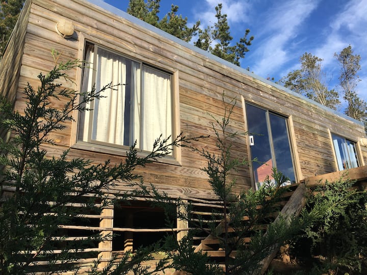 Agradable Cabaña En El Bosque, Con Vista Al Mar. - Pelluhue