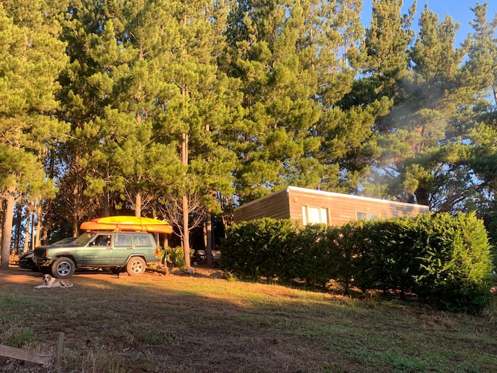 Curanipe Lodge. - Pelluhue