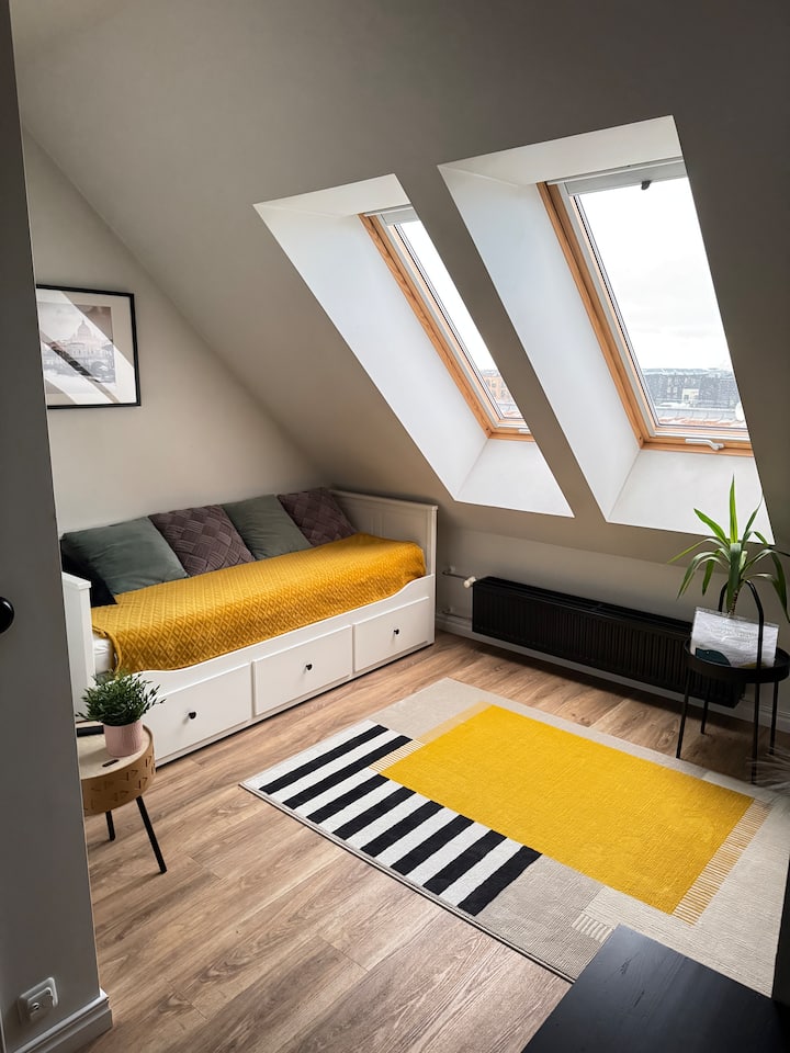Cosy Centrum Studio / Gym&terrace - Tallinna