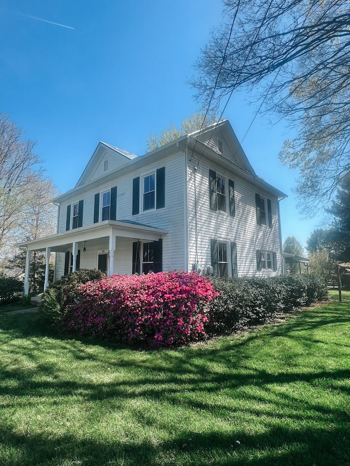 Entire Home In Quaint Downtown Lexington - Lexington, VA