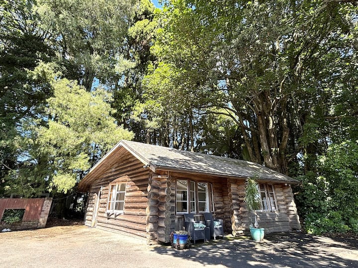 Log Cabin Nestled In Nz Native Bush - Tauranga