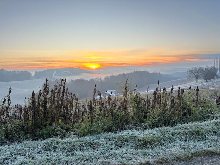 Air-bee'n'bee • Glamping On The Farm 2.0 - Autriche