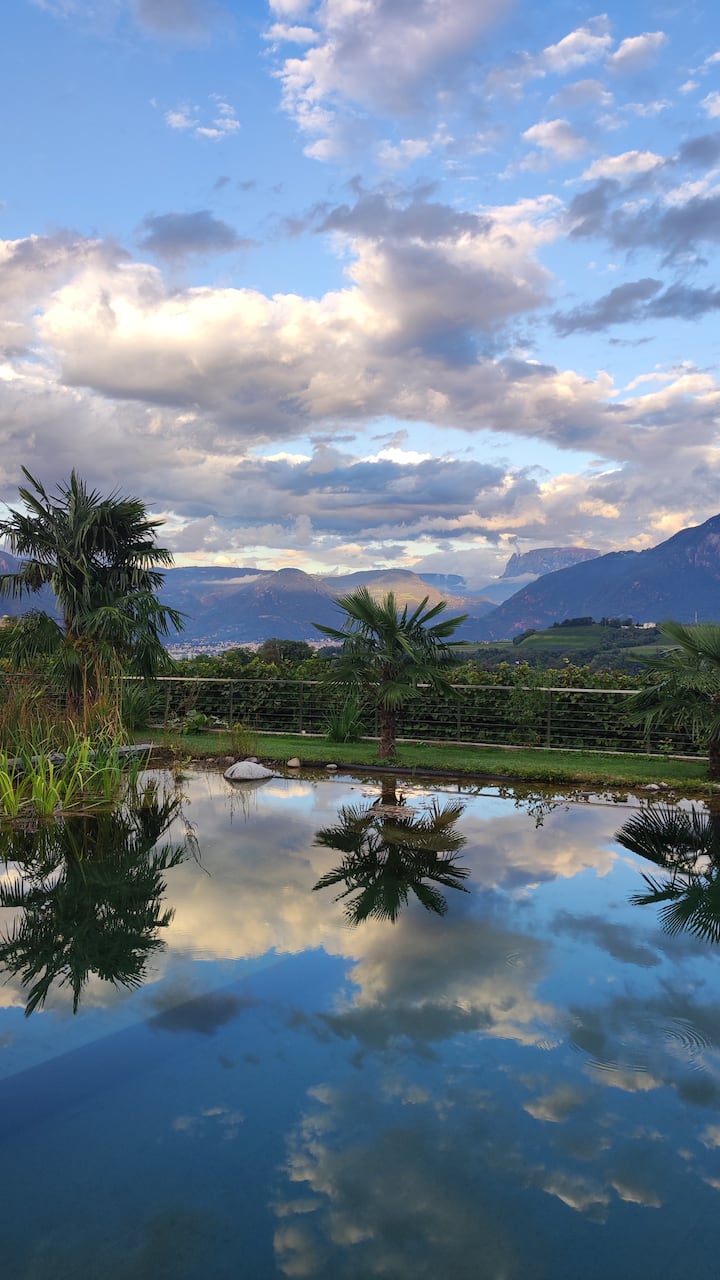 Natural Pool, Sauna & Design With View – Penegal - San Paolo