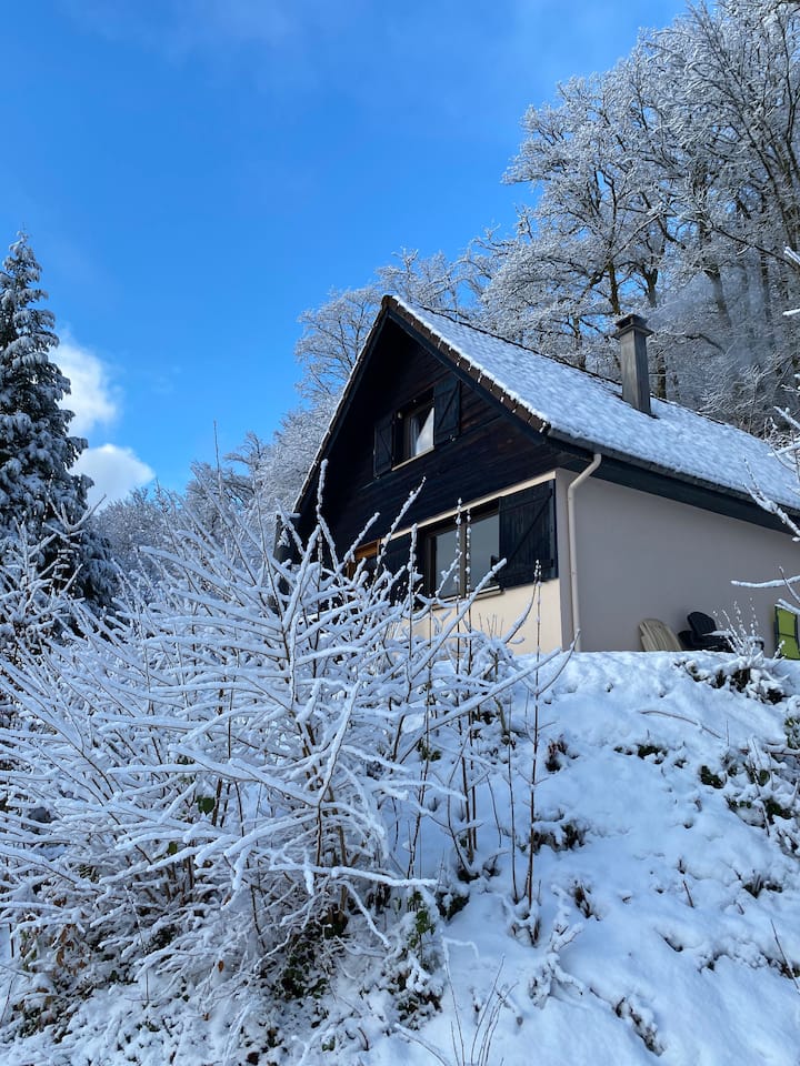 Chalet Au Coeur De La Forêt - Ballon d'Alsace