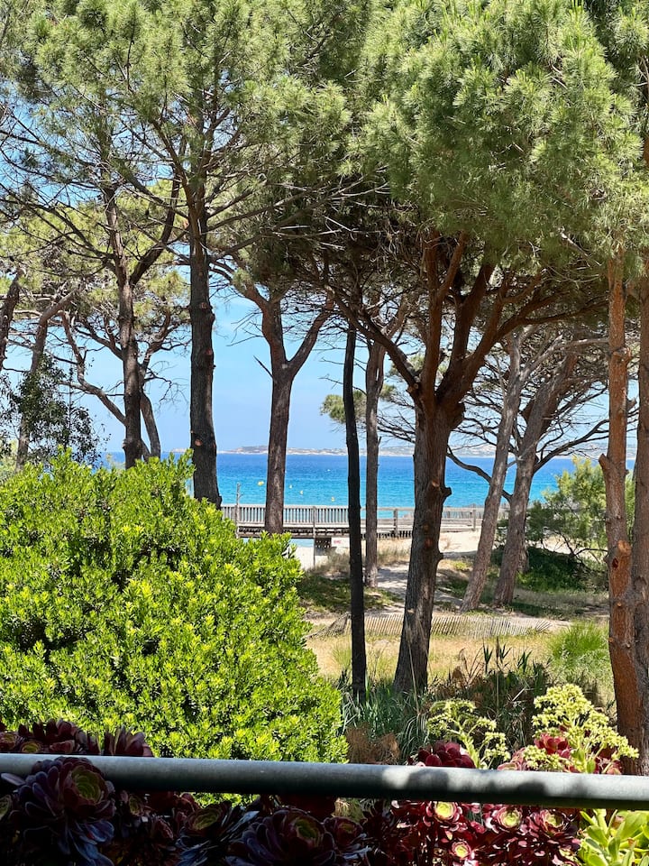 Beau T2 De 35m² Vue Mer à Calvi Au Bord De L'eau - Calvi
