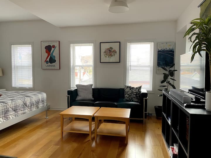 Modern Apt With Style & Comfort In Pilsen Chicago - Chicago