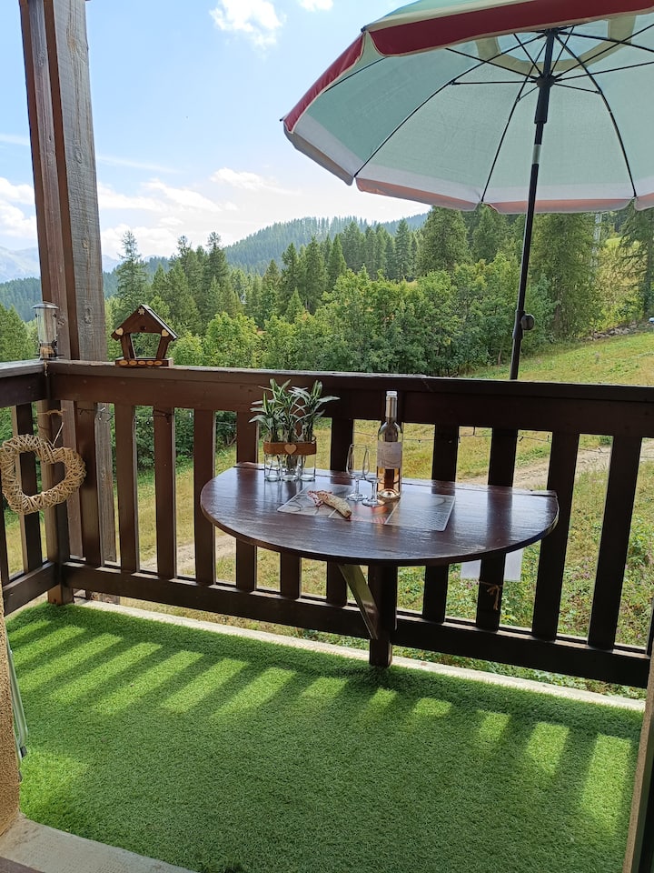 Joli Studio + Balcon, 4 Pers. Puy Stvincent,ecrins - Vallouise
