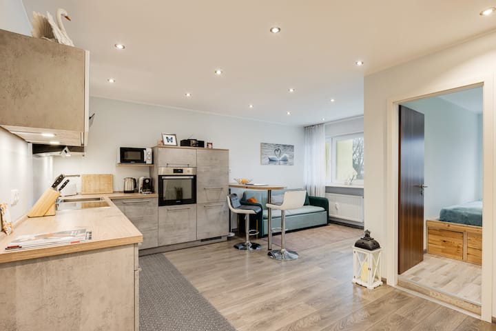 Royal Swan Am Schlosspark Nymphenburg - München