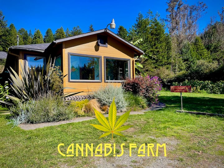 Stylish Farmhouse On Cannabis Farm - Cabin Feel - Sequoia Park Zoo, Eureka