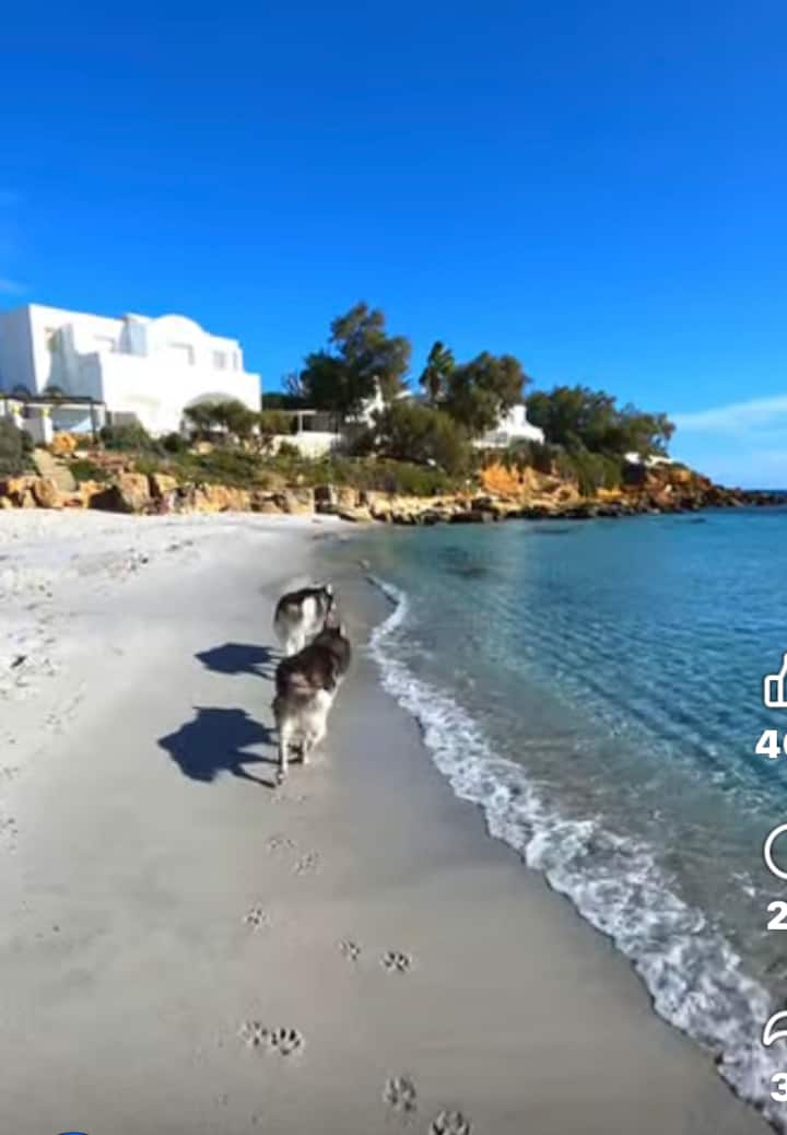 Dar Lila, Villa Pieds Dans L'eau ,Kélibia - Kelibia