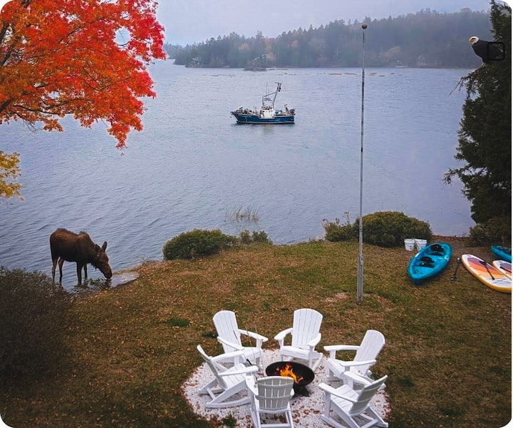 Play, Relax, Repeat - Cobscook Bay State Park, Dennysville