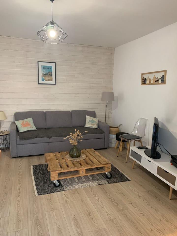 Beau 2 Pièces, 250 M Plage, Coeur De Dinard, Wifi. - Dinard