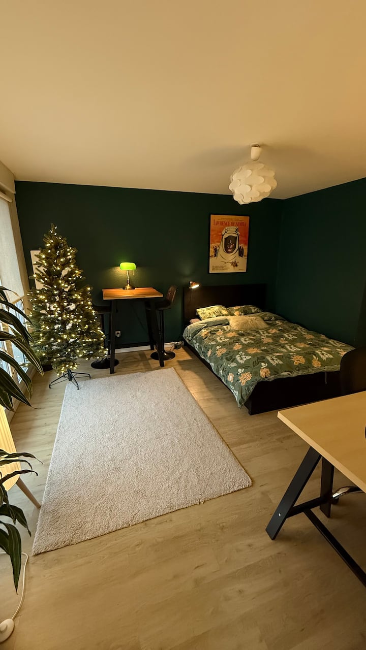 Ambiance Cosy Avec Balcon + Parking - Estrasburgo