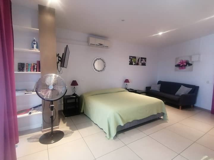 Beau Studio Au Coeur Papeete - Tahiti