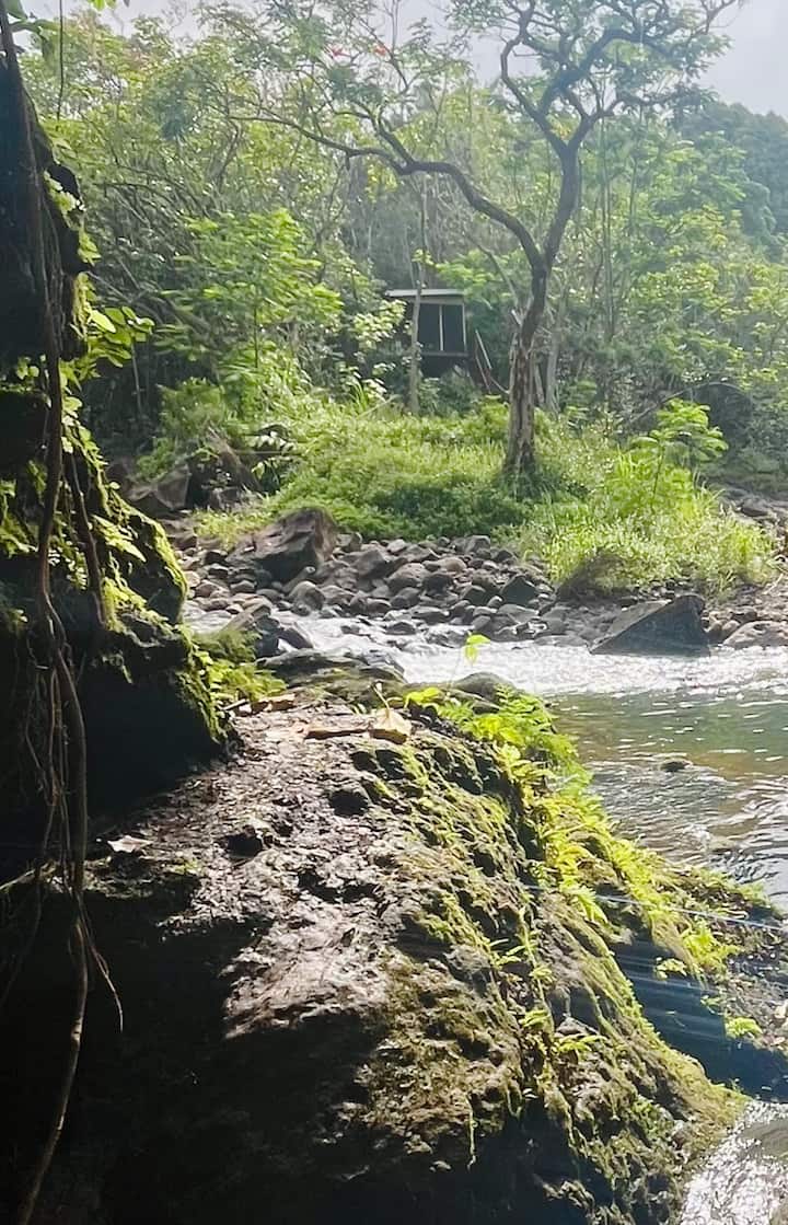 Jungle Cabin With Your Own River Beach - Hawaii