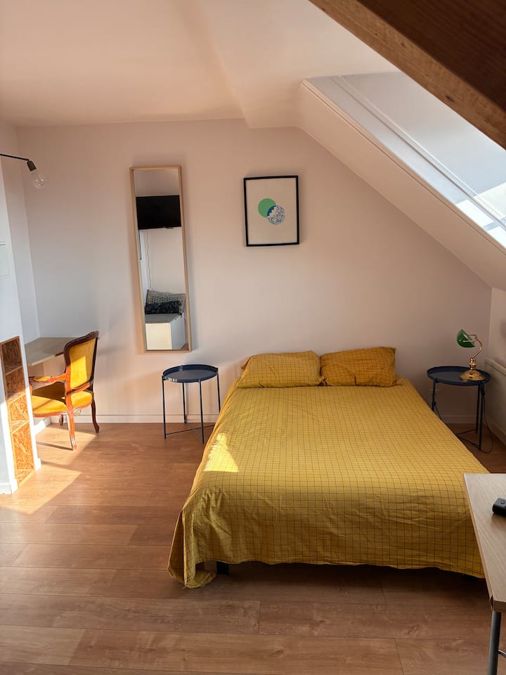 Grenoble : Chambre De Bonne - Gare de Grenoble