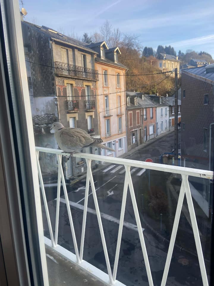 Appartement Les Perce Neige - Murat-le-Quaire