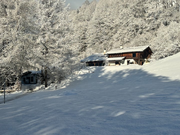 Châlet "Jupiter" & Gästehaus - Wef Davos-klosters - 