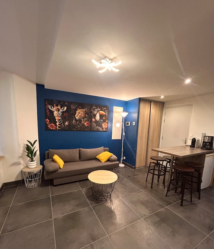 Appart 1 Cœur De Ville Literie Neuve Wifi Gratuit - Mende