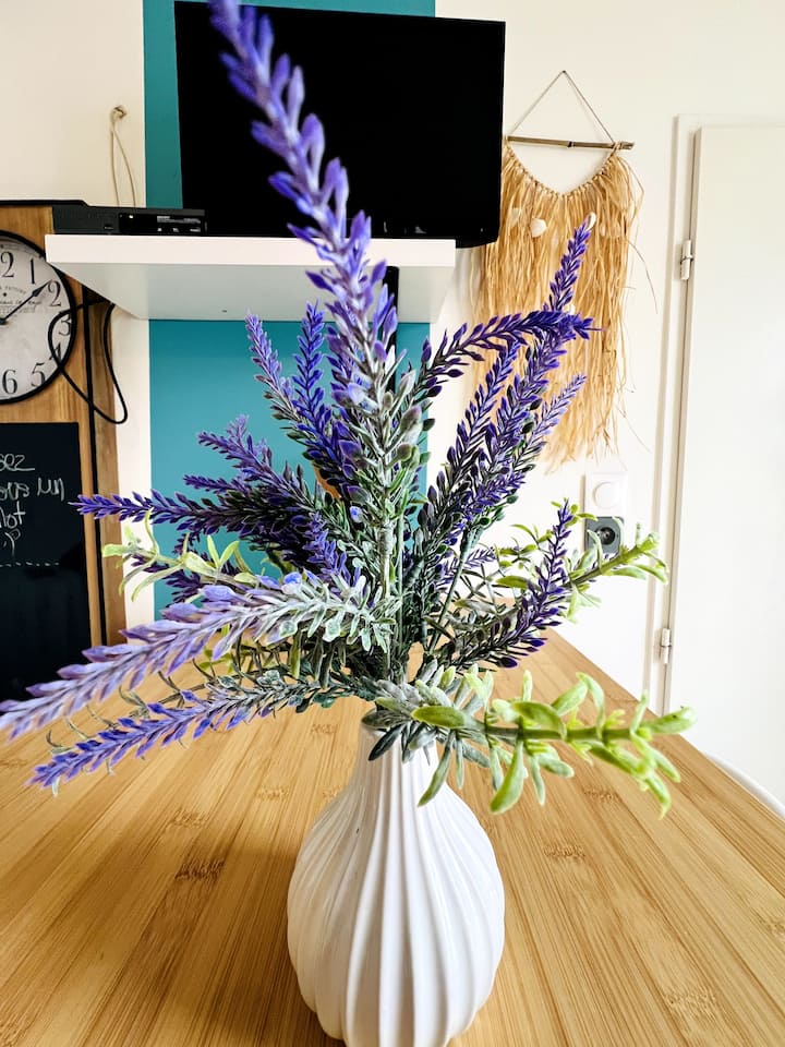 Location Vacances Proche Plage / Mer - Saint-Gilles-Croix-de-Vie