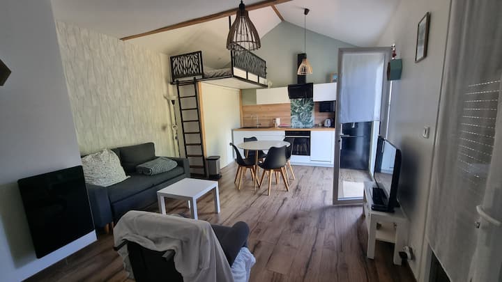 Maison  Bassin D'arcachon  Avec Parking Gratuit - La Teste-de-Buch