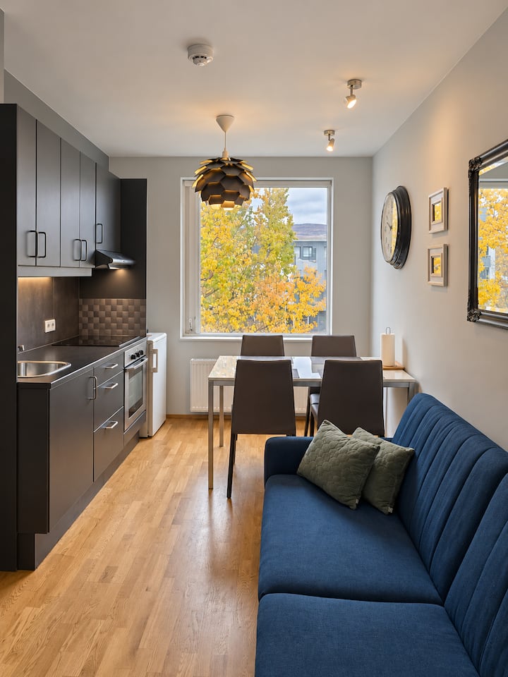 One-bedroom Apartment With Sofa-bed *Square View* - Iceland