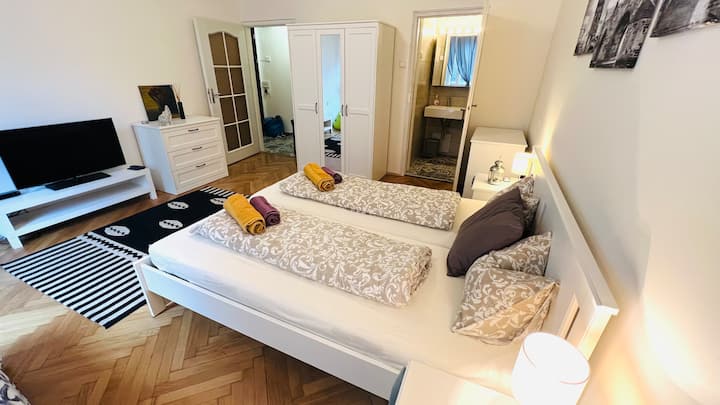 Cozy&renovated Apartment In Very Heart Of Prague - Prague