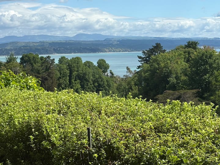 Charming Hill Side Retreat With Seaview - 內皮爾