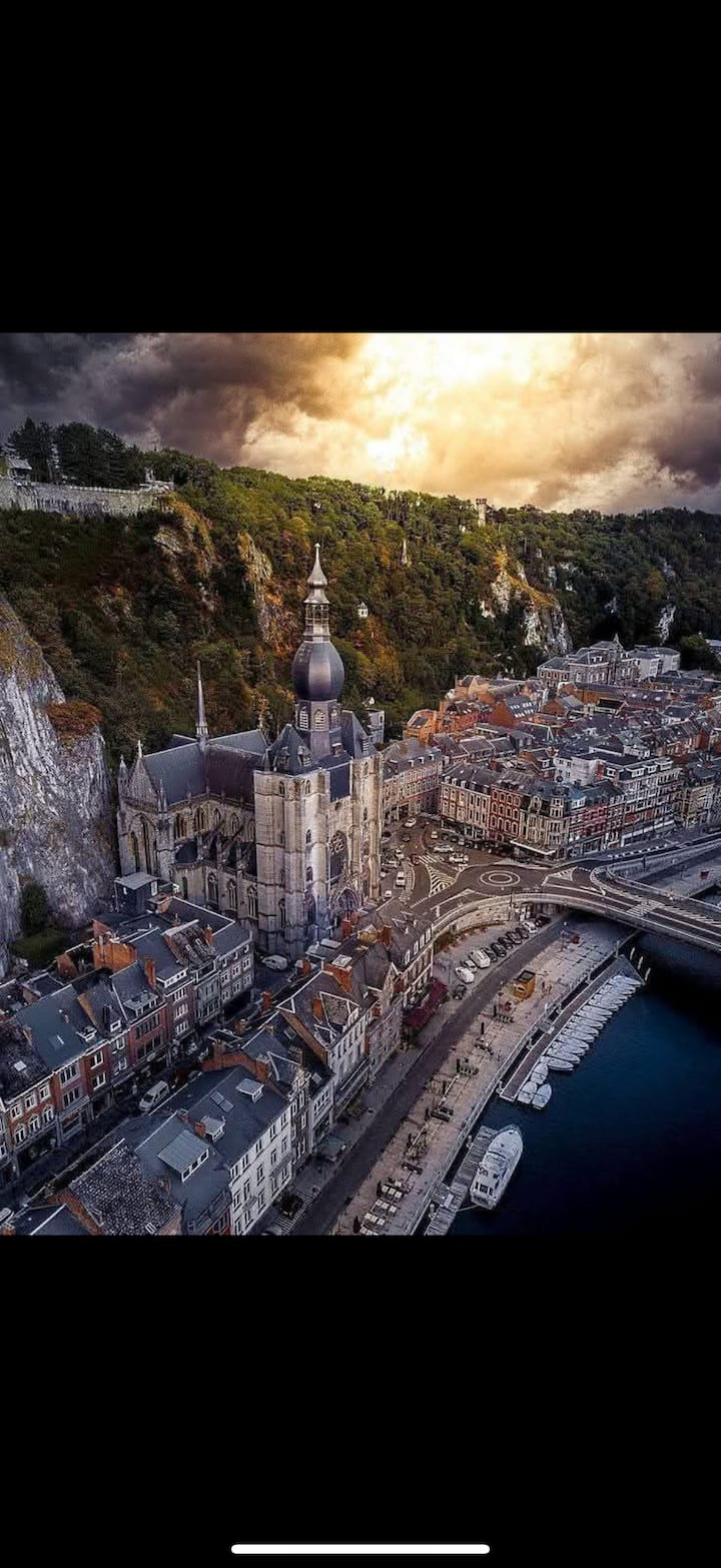 Dinant Centre Beau Studio à 100 M De La Meuse - België
