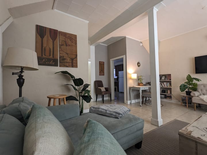 Large 2 Bedroom Unit, Short Walk To Downtown - St. Petersburg, FL