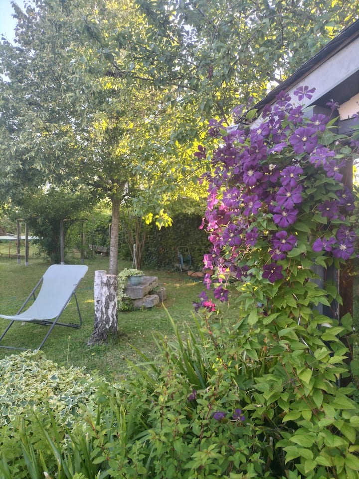 Maison De Ville Calme Avec Jardin Arboré. - Bourges