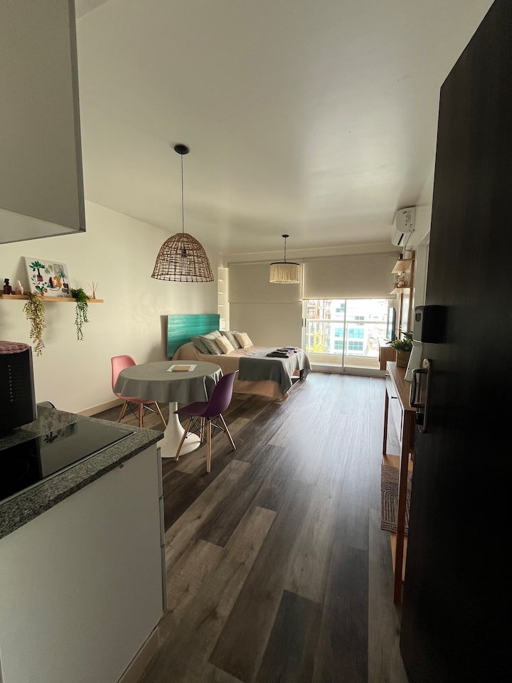 Studio In The Heart Of Belgrano - Argentina