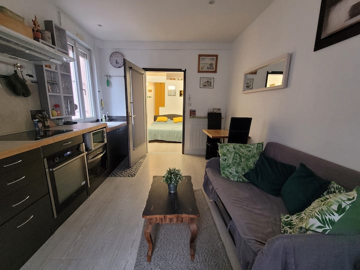 33 M² Calme, Centre De Mulhouse, Terrasse, Parking - Musée des Beaux-Arts de Mulhouse