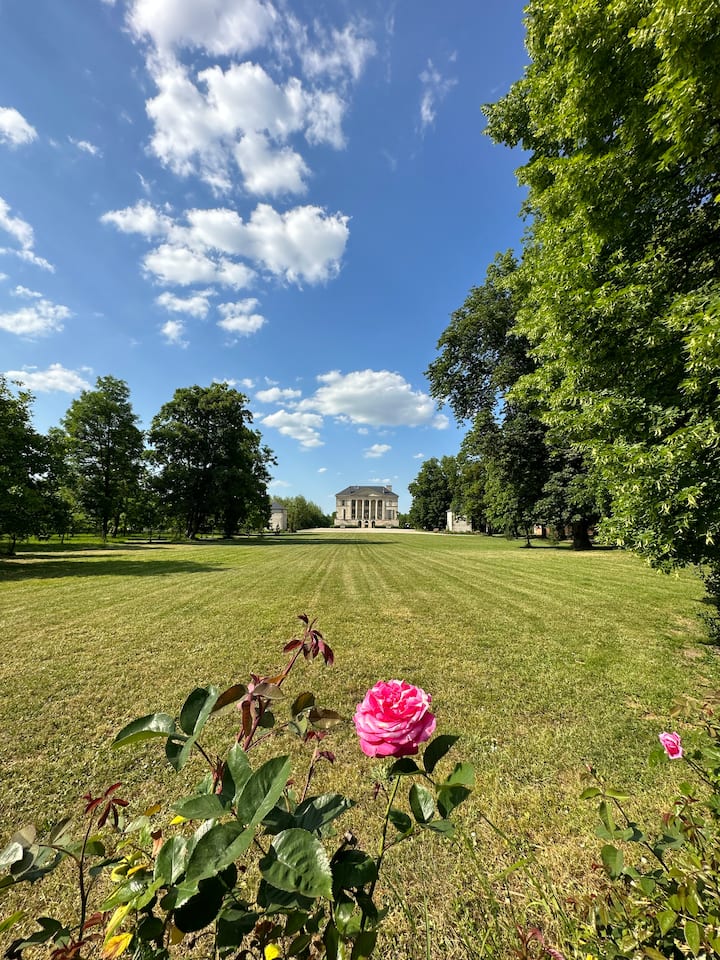 Magnifique Château En Champagne - Marne