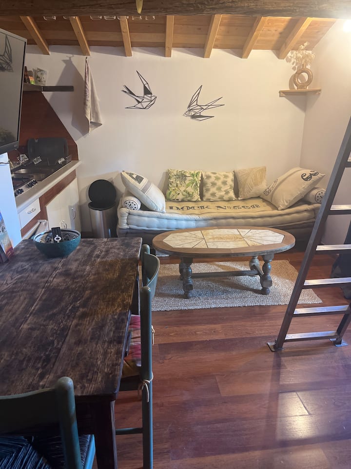 Studio Dans Maison De Village Avec Petit Jardin. - Sisteron