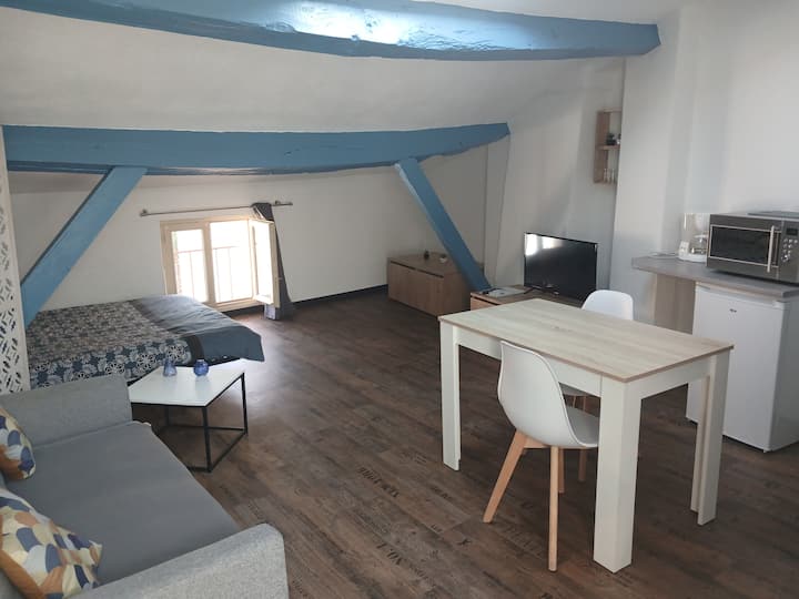 Charmant Studio Saphir Atypique Et Climatisé - Albi