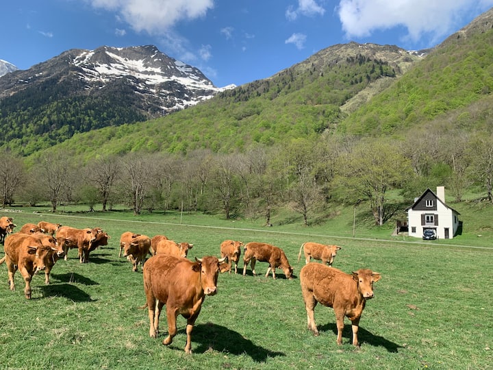 Chalet Cosy Dans Un Paysage Montagne - Bagnères-de-Luchon