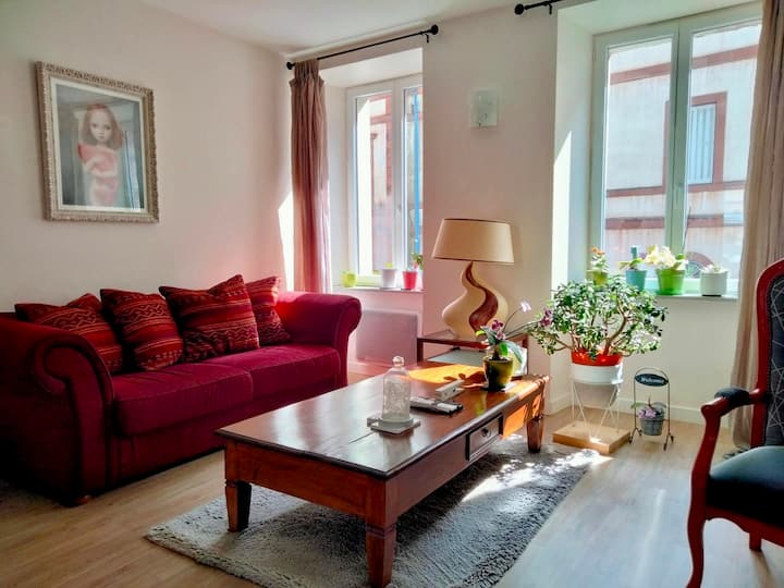 Charmant Appartement Centre-ville + Parking Privé - Rodez
