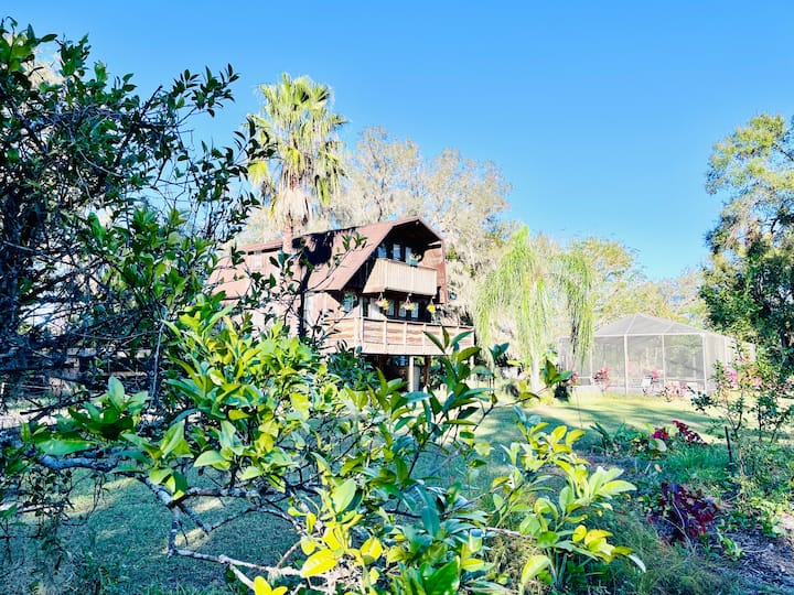 Stilt House & Pool - Wesley Chapel, FL
