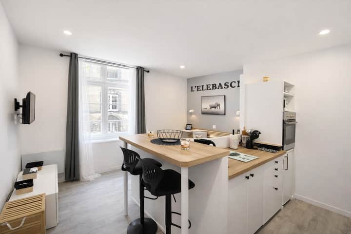 L’élébasch | Wifi + Basilique + Calme + Netflix - Riom