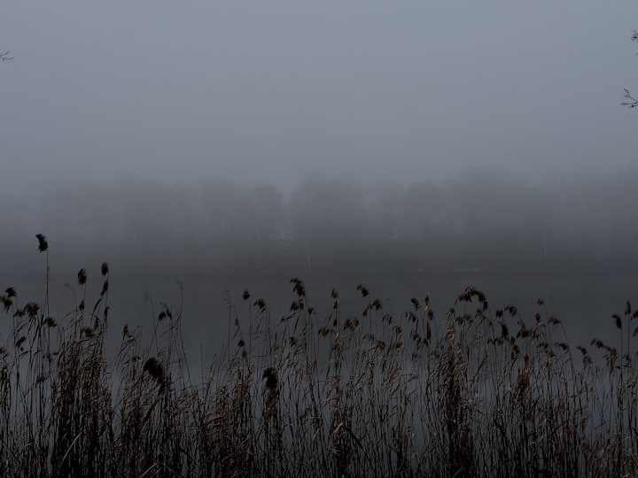 Ruhige Großstadtoase Am See Mit Eigener Terrasse - Kleinmachnow