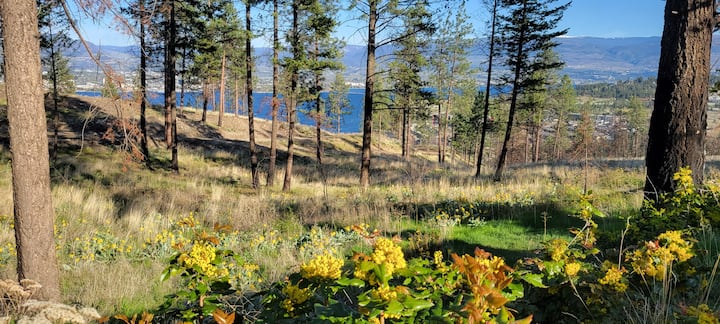 Modern & Cozy Nature Retreat, Legal & Registered - West Kelowna
