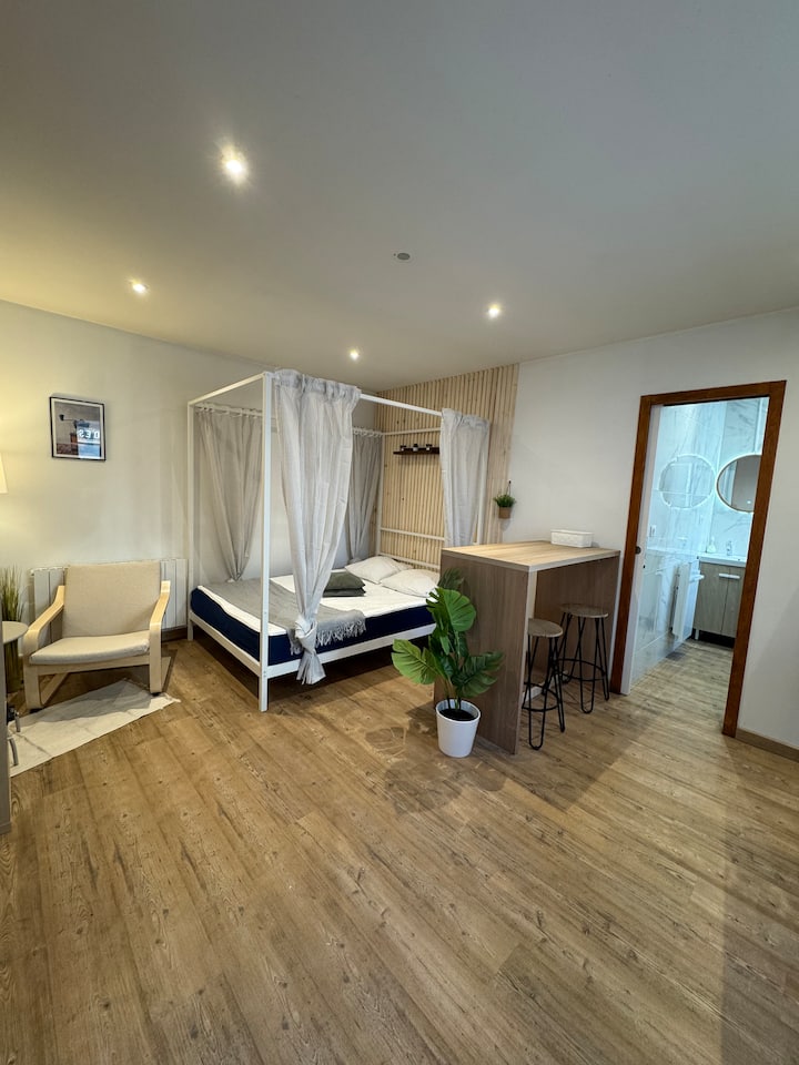 Le Rodin - Studio Cosy - Hyper Centre/gare - ibis budget Châtellerault Nord