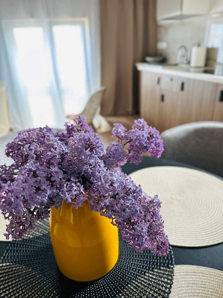 Patio Garden & Sea Home Apartments) - Latvia