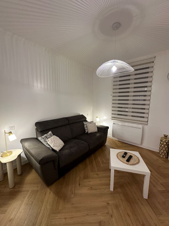 Magnifique Cocon Au Cœur De Nancy ! - Nancy